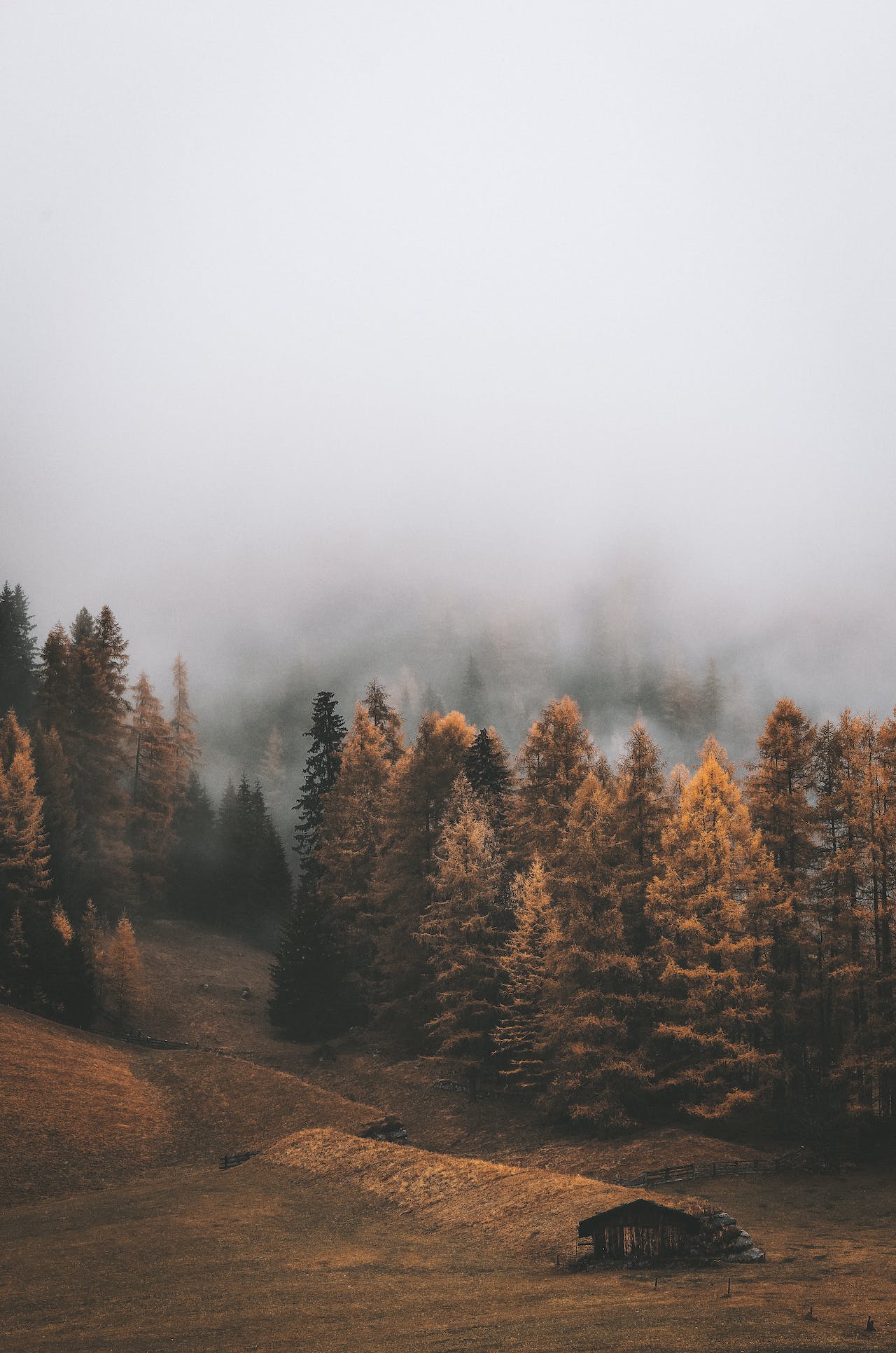 Autumn 2023 - Invested Interests - Daintree Wealth Management